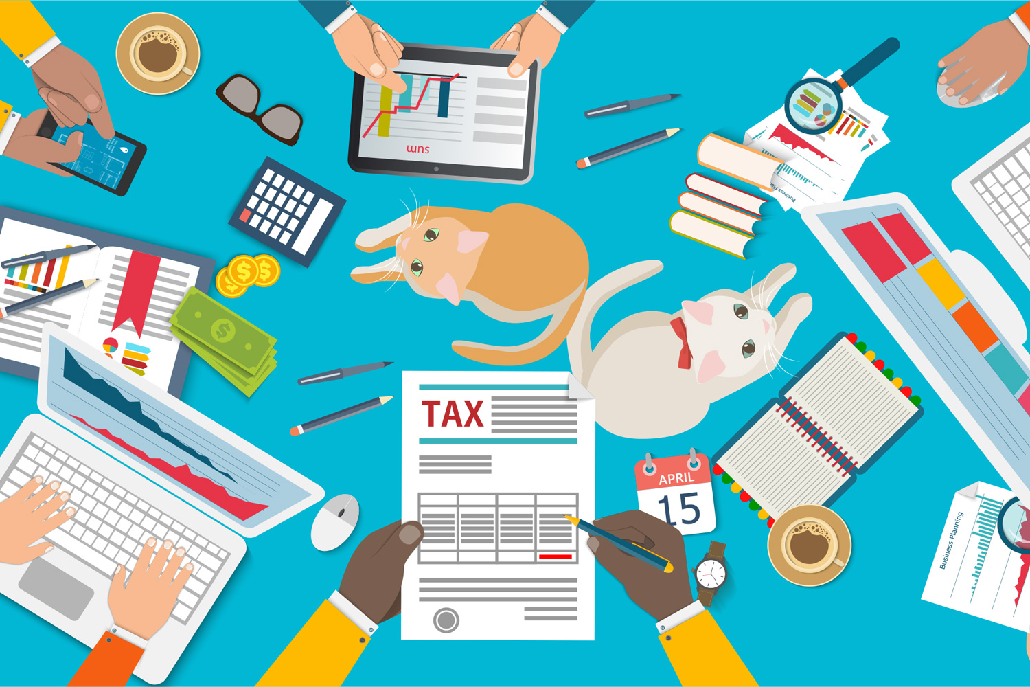 Taxing matters | HumanePro by Humane World for Animals
