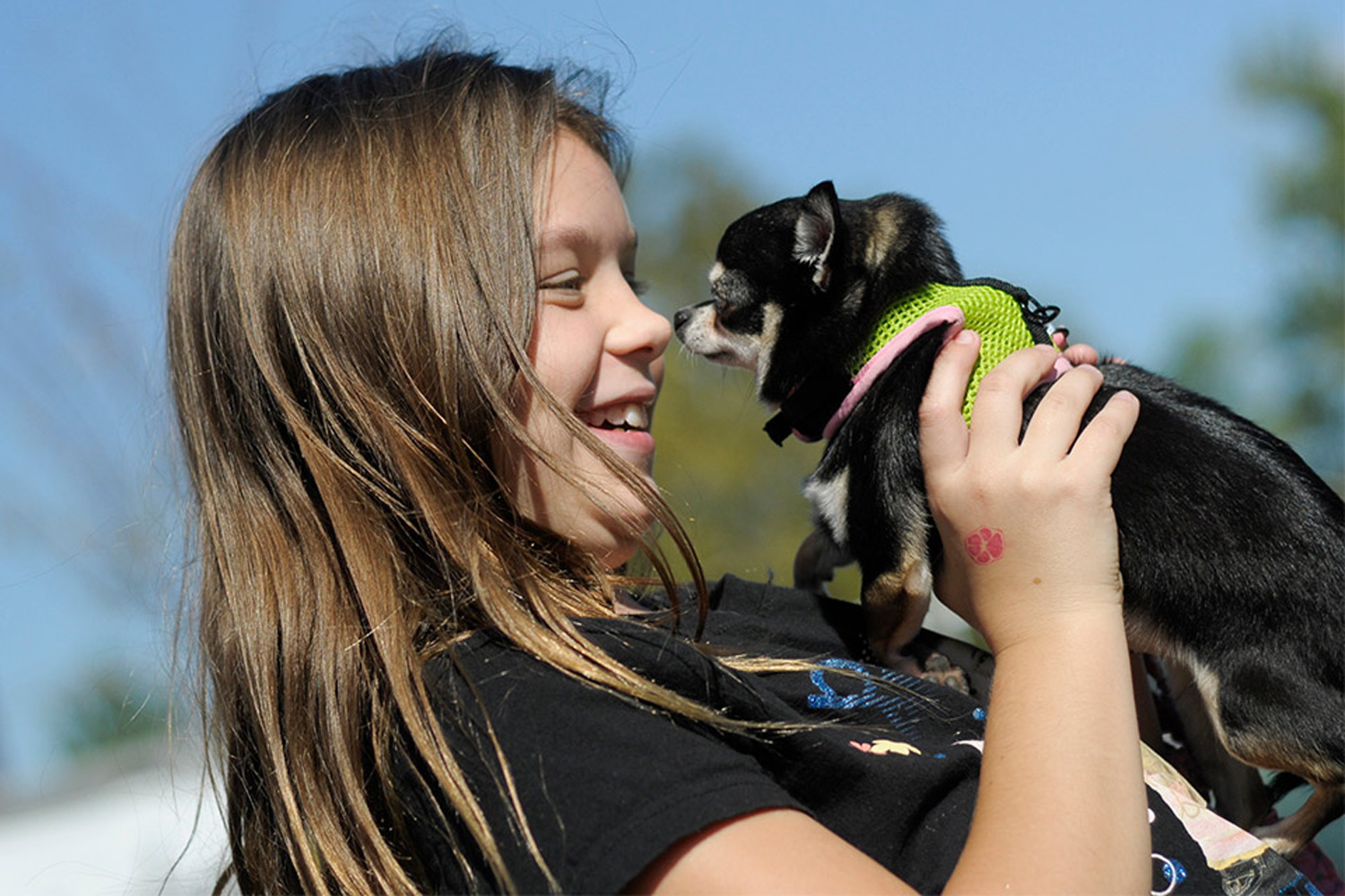 Investing in animal advocates of the future | HumanePro by Humane World ...