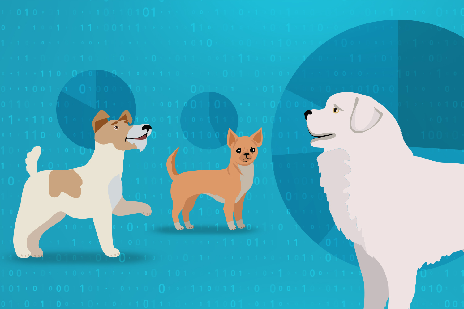 How adopter data helps us serve animals | HumanePro by Humane World for ...
