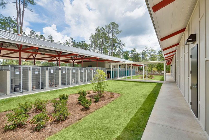 Good Shelter Design Is Good For Animals HumanePro By The Humane Good Shelter Design Is Good For Animals HumanePro By The Humane
